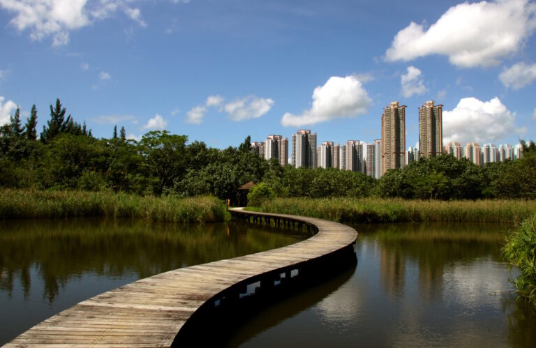 The Northern Metropolis: Hong Kong's New Development Strategy - Global ...